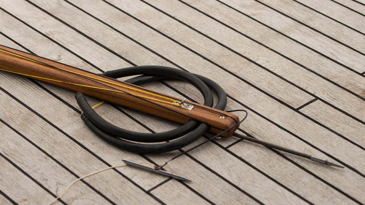 Man killed his two children with spearfishing gun, said he did it to ...