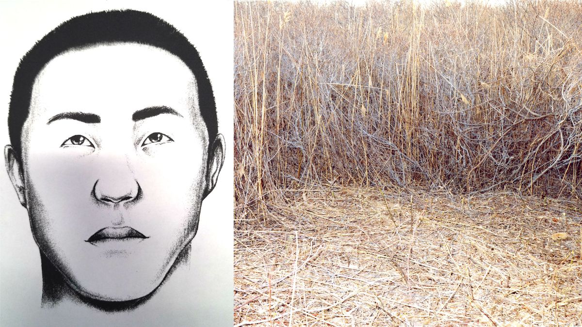 Investigators use DNA, genetic genealogy to ID another victim of Long ...